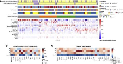 Cancer Cell 多平台单细胞数据集整合分析 知乎