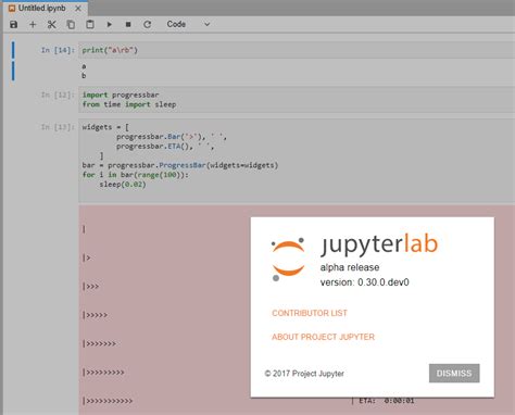 Wrong Handling Of `r` Affects Progressbar · Issue 3306 · Jupyterlab