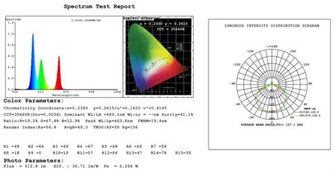 Programmable Dmx Led Strip 24v For Dynamic Visual Project