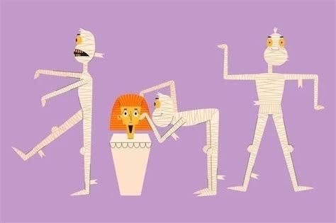 Les Os Du Corps Humain Classification Et Fonctionnalités