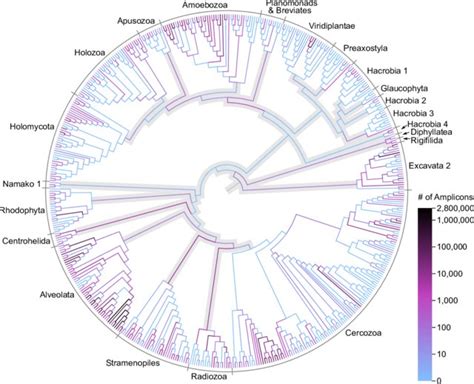 Metabarcoding Intro