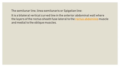 Ventral Wall Hernia Pptx