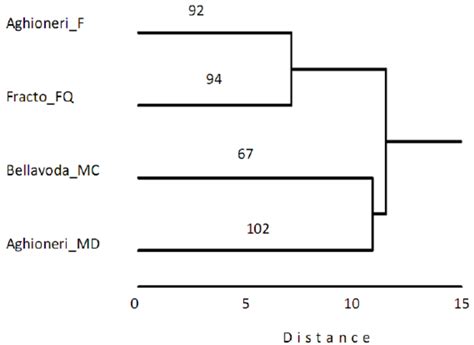 dendrogram of the hierarchical classification of four beech forest