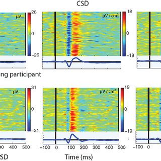 Current Source Density CSD And IC Scalp Maps CSD Maps Left Panel Download Scientific