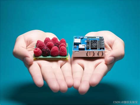 树莓派和arduino,哪个才是你的菜arduino和树莓派性价比 Csdn博客 树莓派和arduino,哪个才是你的菜arduino和树莓派性价比 Csdn博客