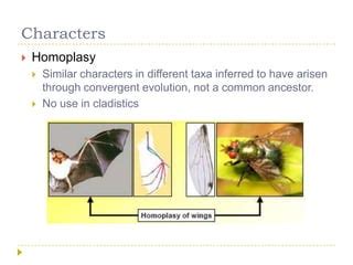 Evolutionary Biology Pptx