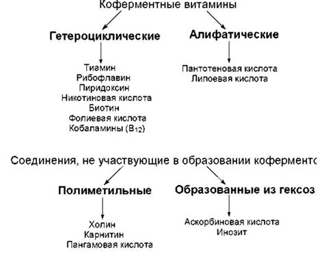 Водорастворимые витамины Биологическая роль и биосинтез витаминов Метаболизм Процессы