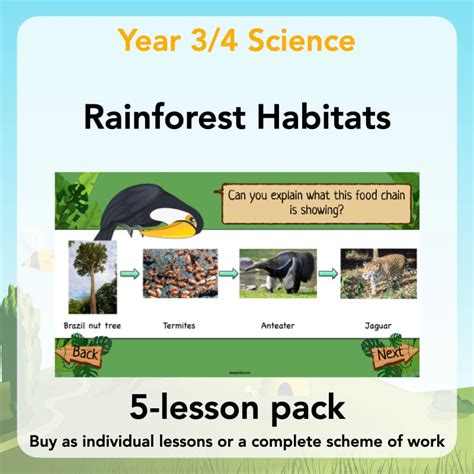 Rainforest Habitats Ks2 Science Lesson Pack — Planbee