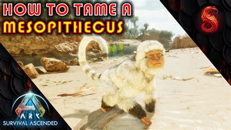 Ark Survival Ascended How To Tame A Mesopithecus Youtube Ark Survival Ascended How To Tame A Mesopithecus Youtube
