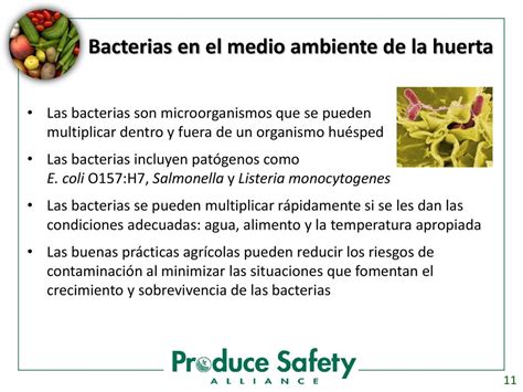 Módulo 1: Introducción a la inocuidad de los productos agrícolas frescos - ppt descargar