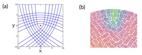 A Director Field In The Neighbourhood Of A Point Defect With Winding