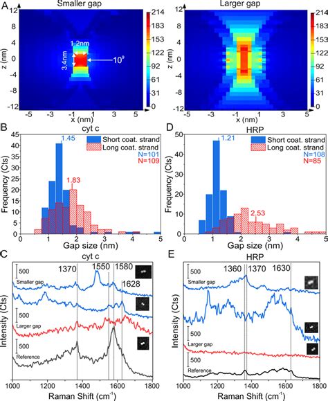 Single Molecule Sers Measurements Of Cyt C And Hrp A Field Download Scientific Diagram