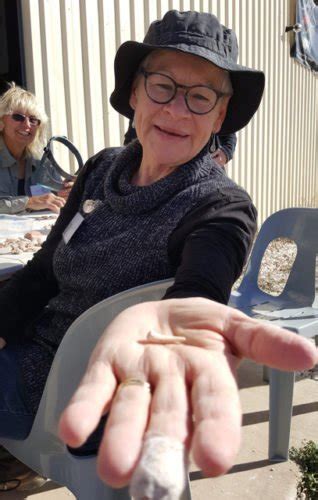 Gallery Lightning Ridge Fossil Dig Australian Geographic