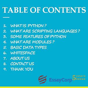 Python Assignment Help By EssayCorp In USA Australia UK
