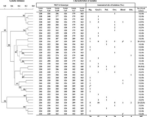 Mlva Based Dendrogram And Genotype Scores Derived From Results Of The