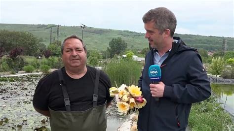„Нищо лично” Бивш военен отглежда най голямата плантация от водни лилии ВИДЕО Nova