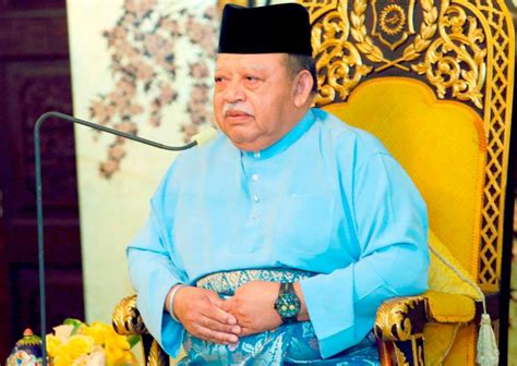 Perlis Raja Don T Add Fuel To The Fire