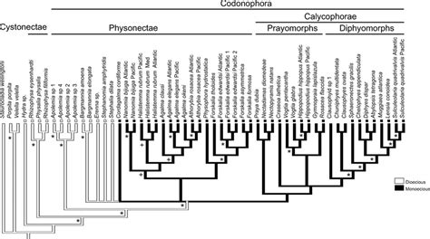 Parsimony Ancestral Character State Reconstructions For Monoecy Versus Download Scientific