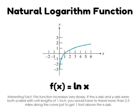 12 Basic Functions Posters Math Love