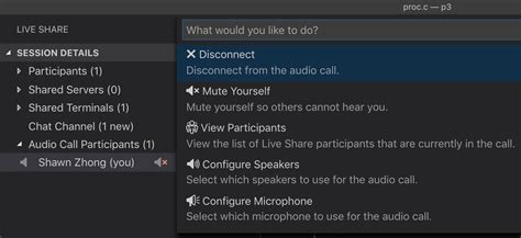 Pair Programming using VSCode Shawn Zhong 钟万祥