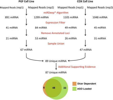 computational pipeline to discover novel mirnas expressed within two