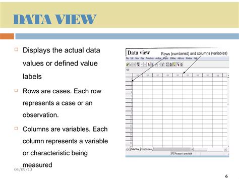 Introduction To Spss 18 Ppt Operating Systems Computer Software And Applications