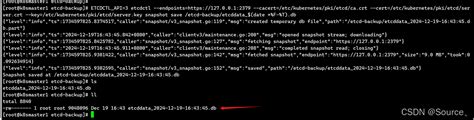Etcd备份还原etcdctl 备份 Csdn博客