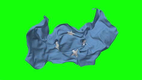 Federated States Of Micronesia Flag Seamless Looping Flying In Wind