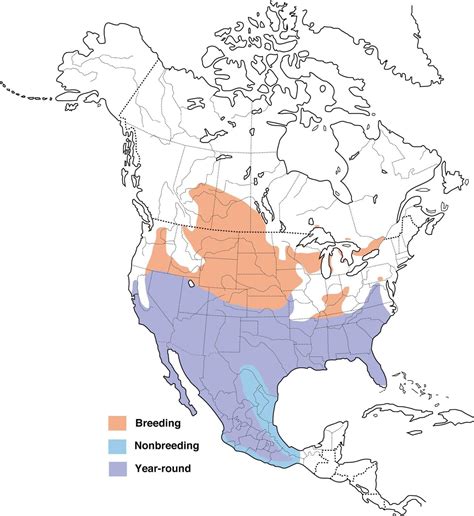 Loggerhead Shrike Range Map