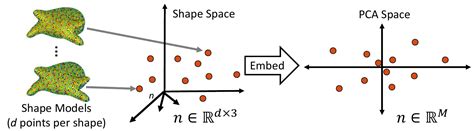 Data Augmentation For Deep Learning ShapeWorks