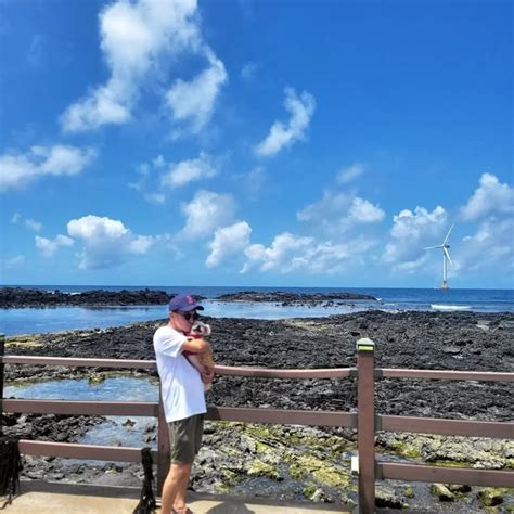 명절인데 기분이 들뜨지 않는다 예전 어릴때부터 명절은 싫다 가족과 친척이 없어서 매일 집에서 본 영화 또 보고 또보고 이제 질린다 내가 전생에 죄를 많이 졌나봐요