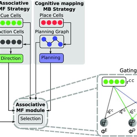 Model Overview The Proposed Computational Model Is Composed Of Four