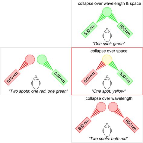 Tia For Vision Spatial Separation Is An Indispensable Attribute For Download Scientific