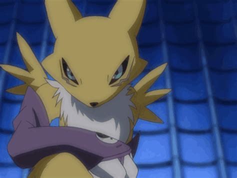 Renamon Digimon  Renamon Digimon Digimon Tamers Discover And Share