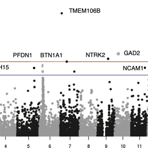 Manhattan Plots Of P Values Of Gene Wise Association Analyses Of Download Scientific Diagram