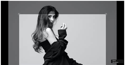 Top Vue Components Libraries Cssninja Io