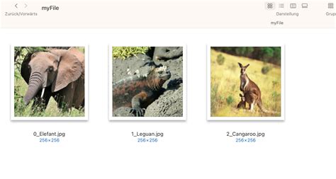How To Zip Multiple Images And Send Them Via Email Questions N8n
