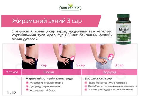 Фолийн хүчил ямар ач холбогдолтой Natures Aid Mongolia Facebook