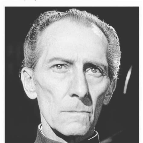 Thorsten Wagner Grandmoff Thorsten • Threads Say More