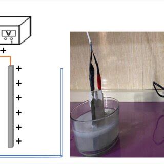 Experimental Setup Of The EC Method Download Scientific Diagram