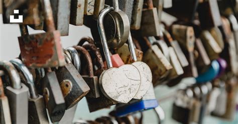 Assorted Color Padlocks Photo Free Lock Image On Unsplash
