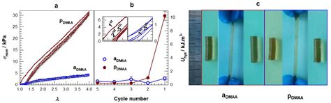 Equimolar Polyampholyte Hydrogel Synthesis Strategies With Adaptable Properties