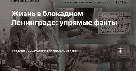Жизнь в блокадном Ленинграде упрямые факты Следственный комитет Российской Федерации Дзен
