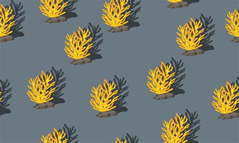 Sea Sponge Pattern Vector Art Icons And Graphics For Free Download