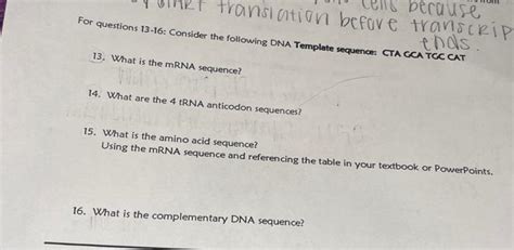 Solved For Questions 13 16 Consider The Following Dna