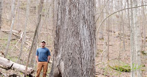 Lawsuit Alleges Us Forest Service Ignored Environmental Dangers Of