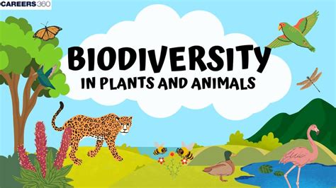 Biodiversity In Plants And Animals Definition Examples Importance