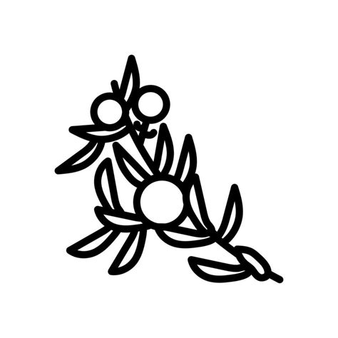Juniper Berry Icon In Vector Logotype 40359759 Vector Art At Vecteezy