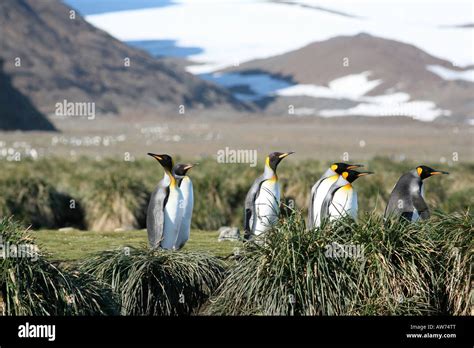 Find The Th Percentile For A Uniform Random Variable Data Science Workbench