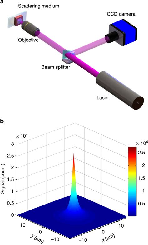 Experimental Schematic And Spatially Resolved Reflectanceschematic Of Download Scientific